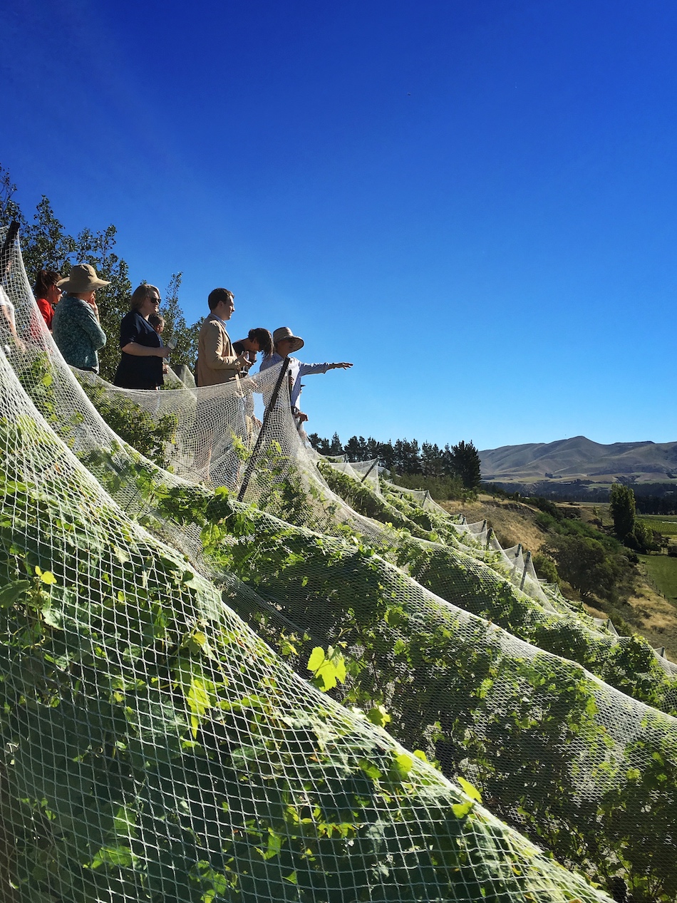 Terrace Edge, Waipara Valley - WineFolio