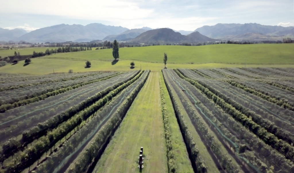 Visiting Akitu - Wanaka - WineFolio