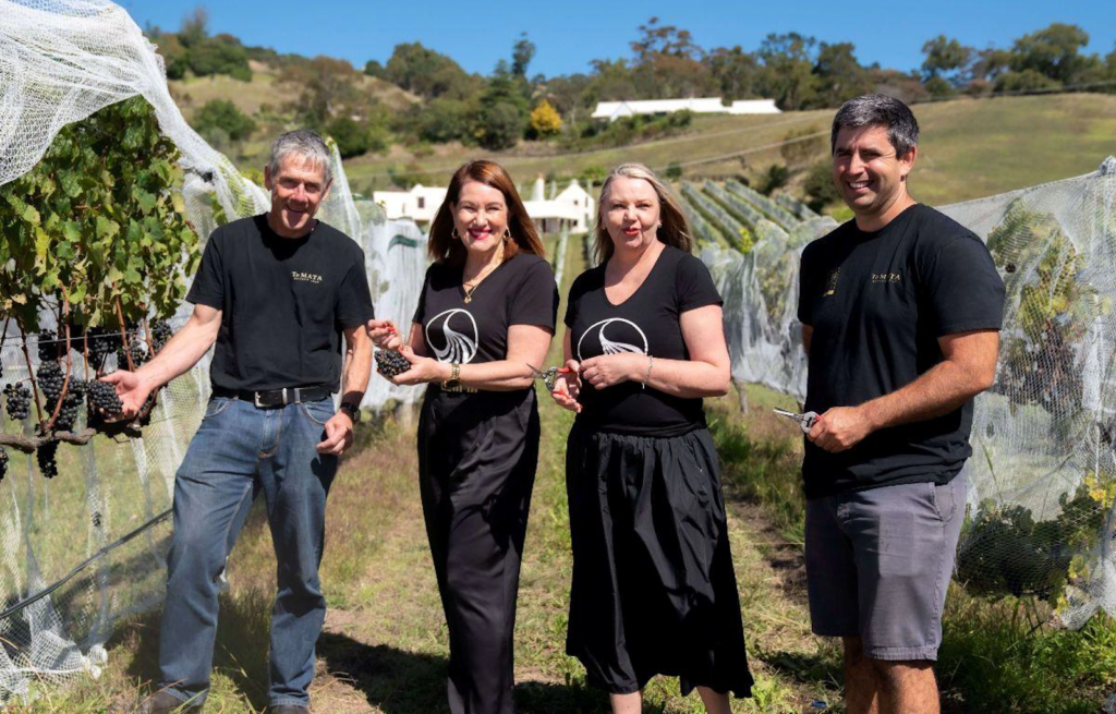 Could this be The One? Hawke's Bay eyes an exceptional vintage - WineFolio